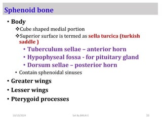 Skeletal system-AXIAL(skeletal muscle axial part).pdf