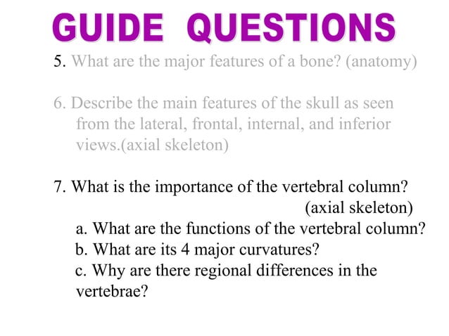 Skeletal system lab | PPT