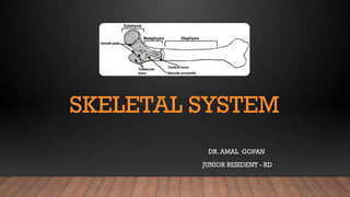 Skeletal System Mbbs Lecture Pptx