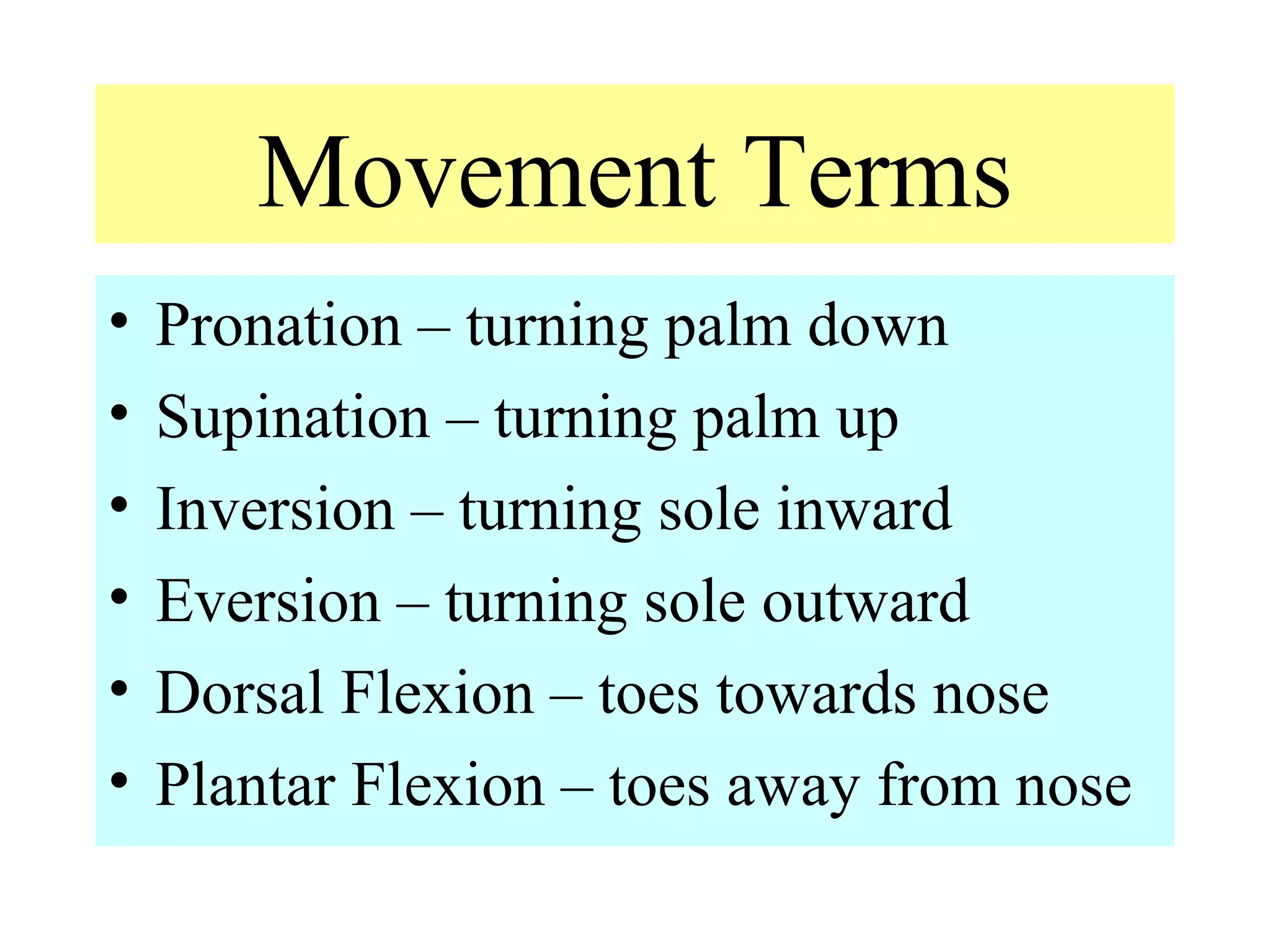 Skeletal System Sue Howard | PPT