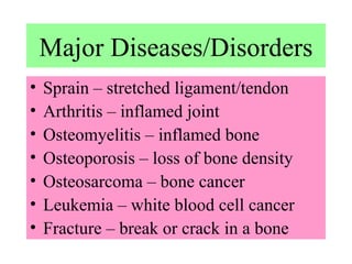 Skeletal System Sue Howard | PPT