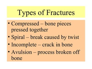 Skeletal System Sue Howard | PPT