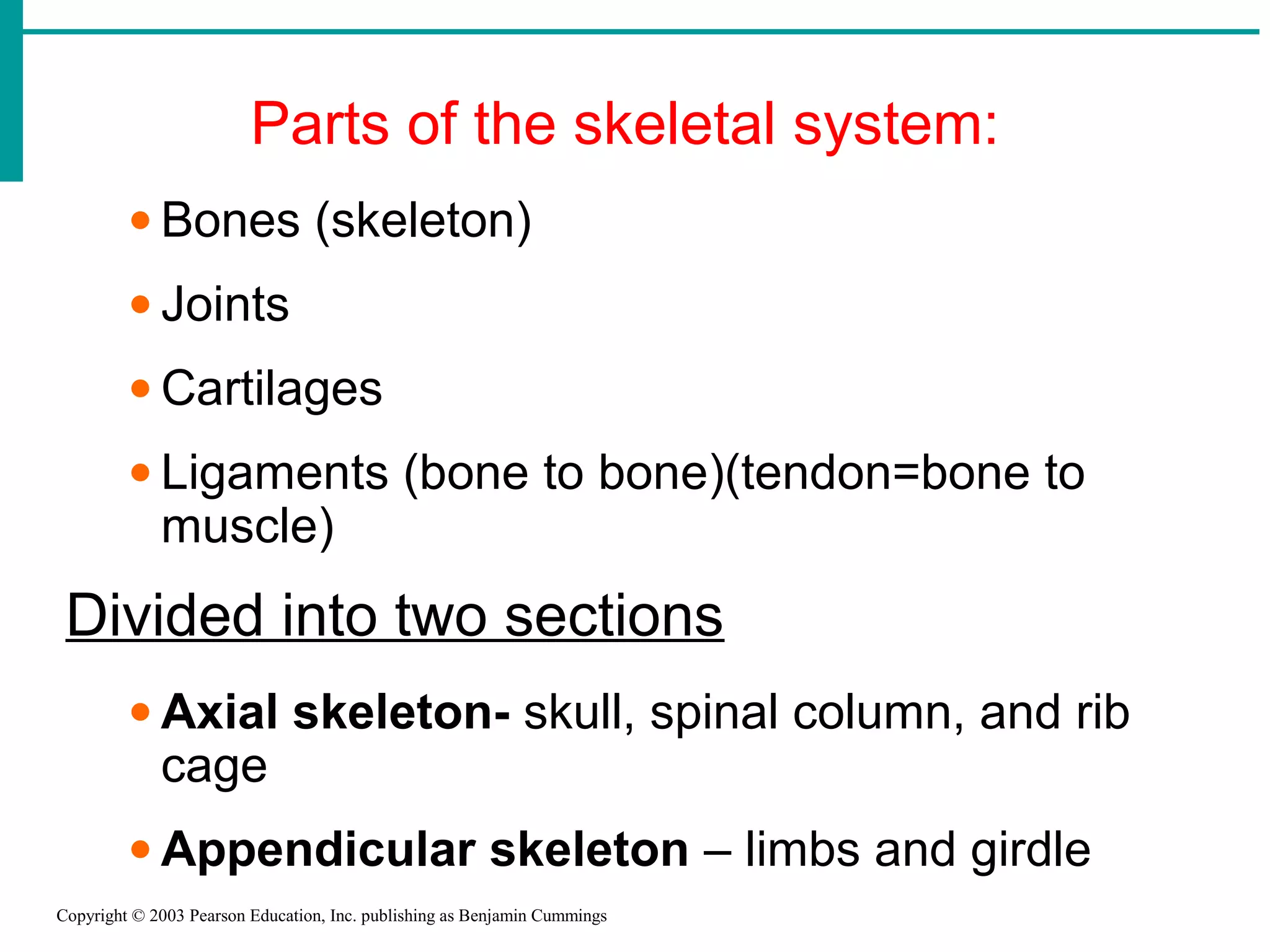 Skeletal System | PPT
