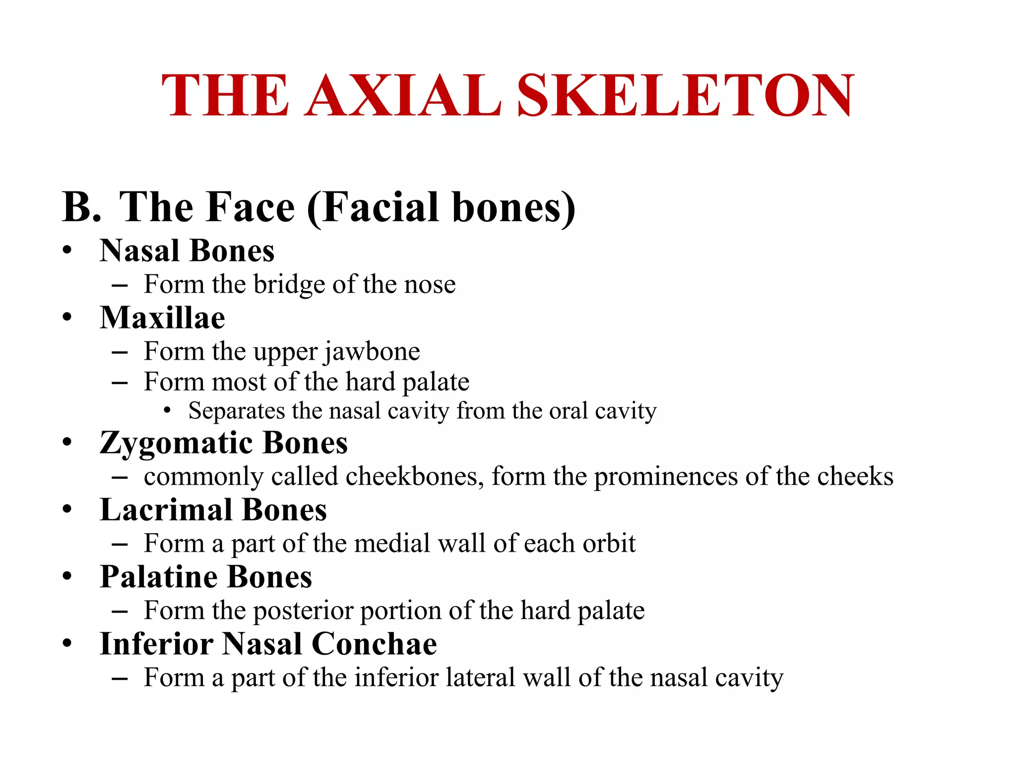Skeletal system | PPTX