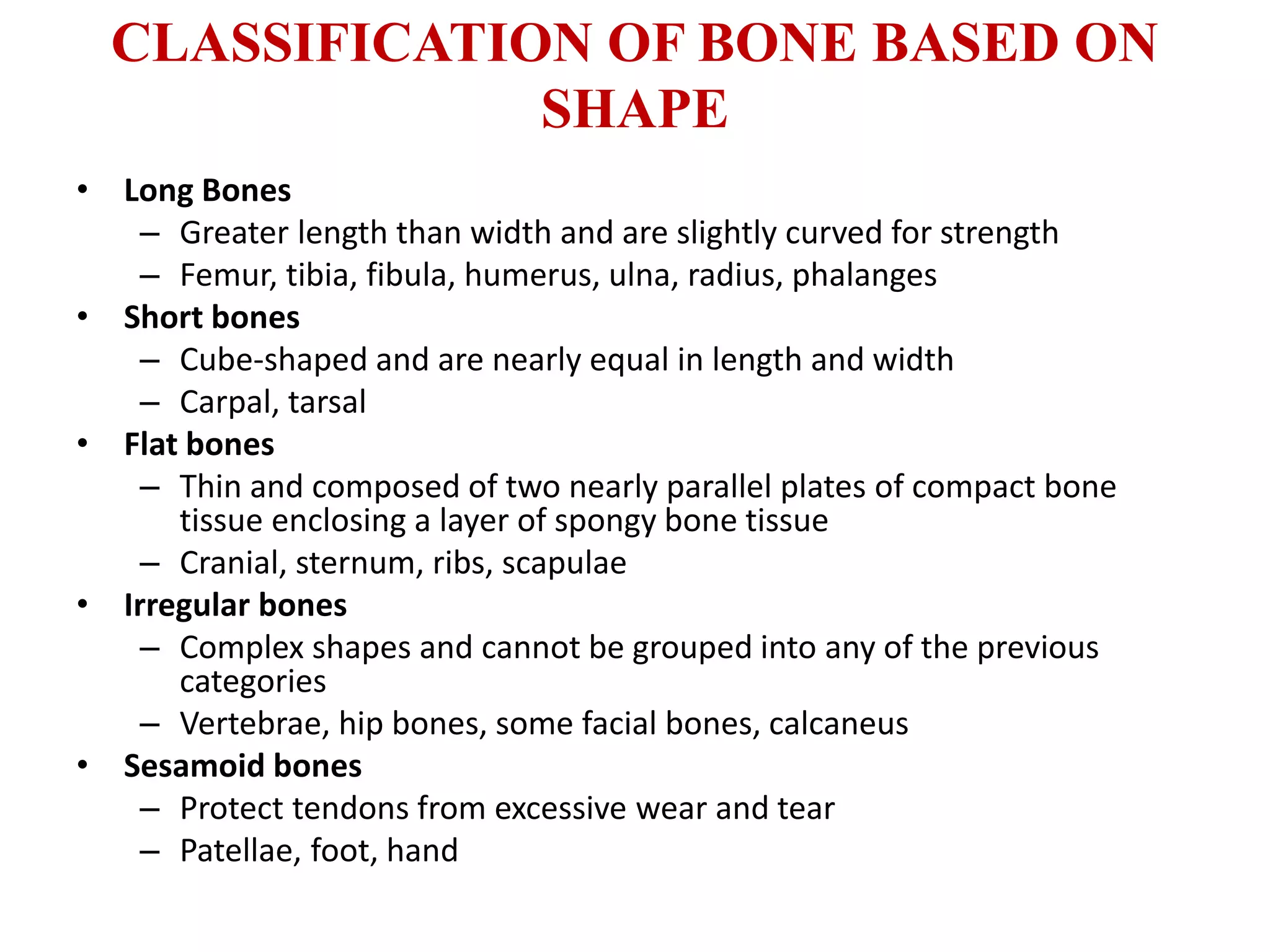 Skeletal system | PPTX