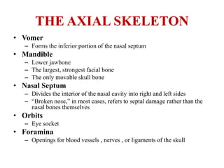 Skeletal system | PPTX