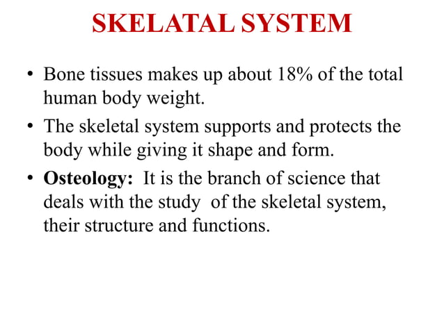 Skeletal system | PPTX