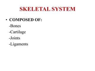 Skeletal system | PPTX