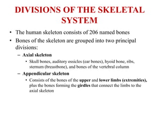 Skeletal system | PPTX