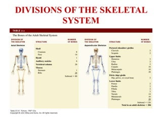 Skeletal system | PPTX