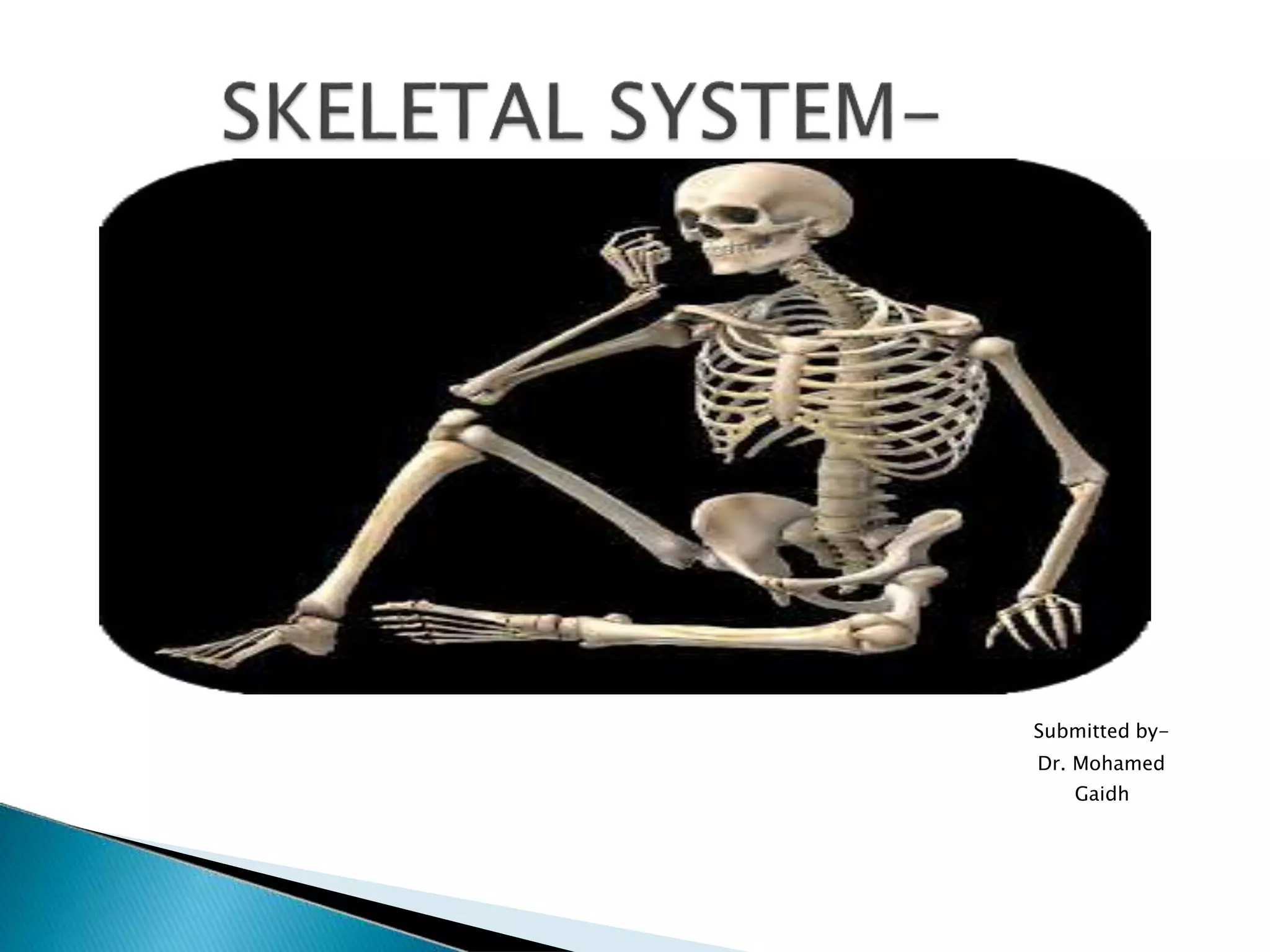 Skeletalsystem1 | PPTX