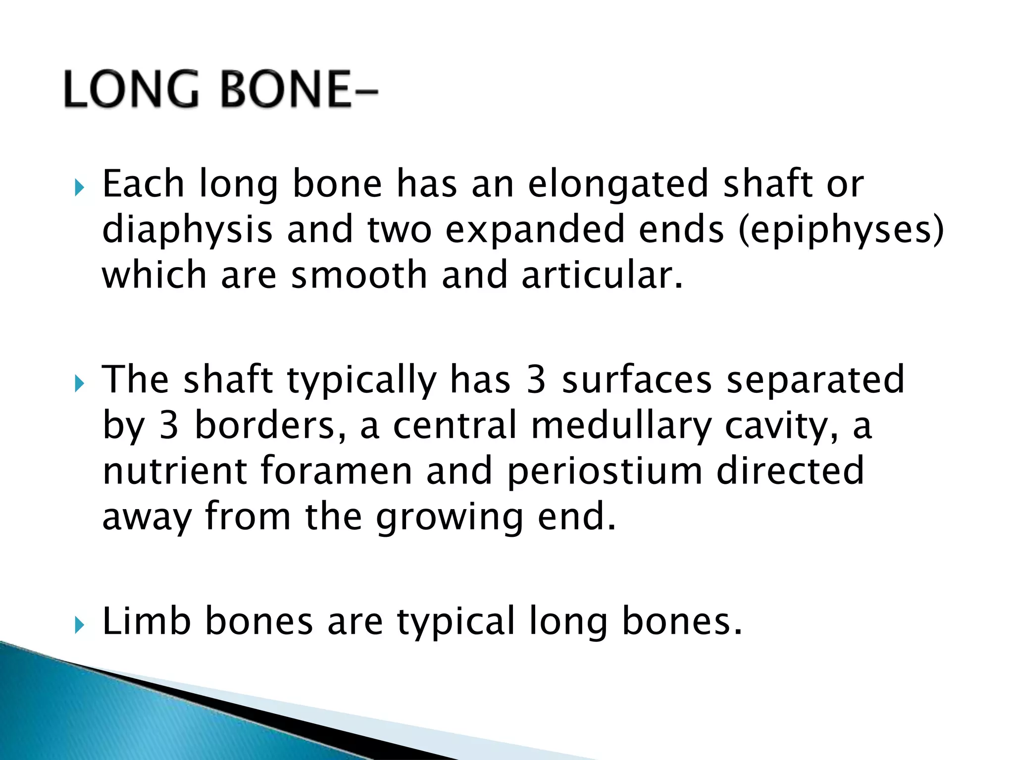 Skeletalsystem1 | PPTX