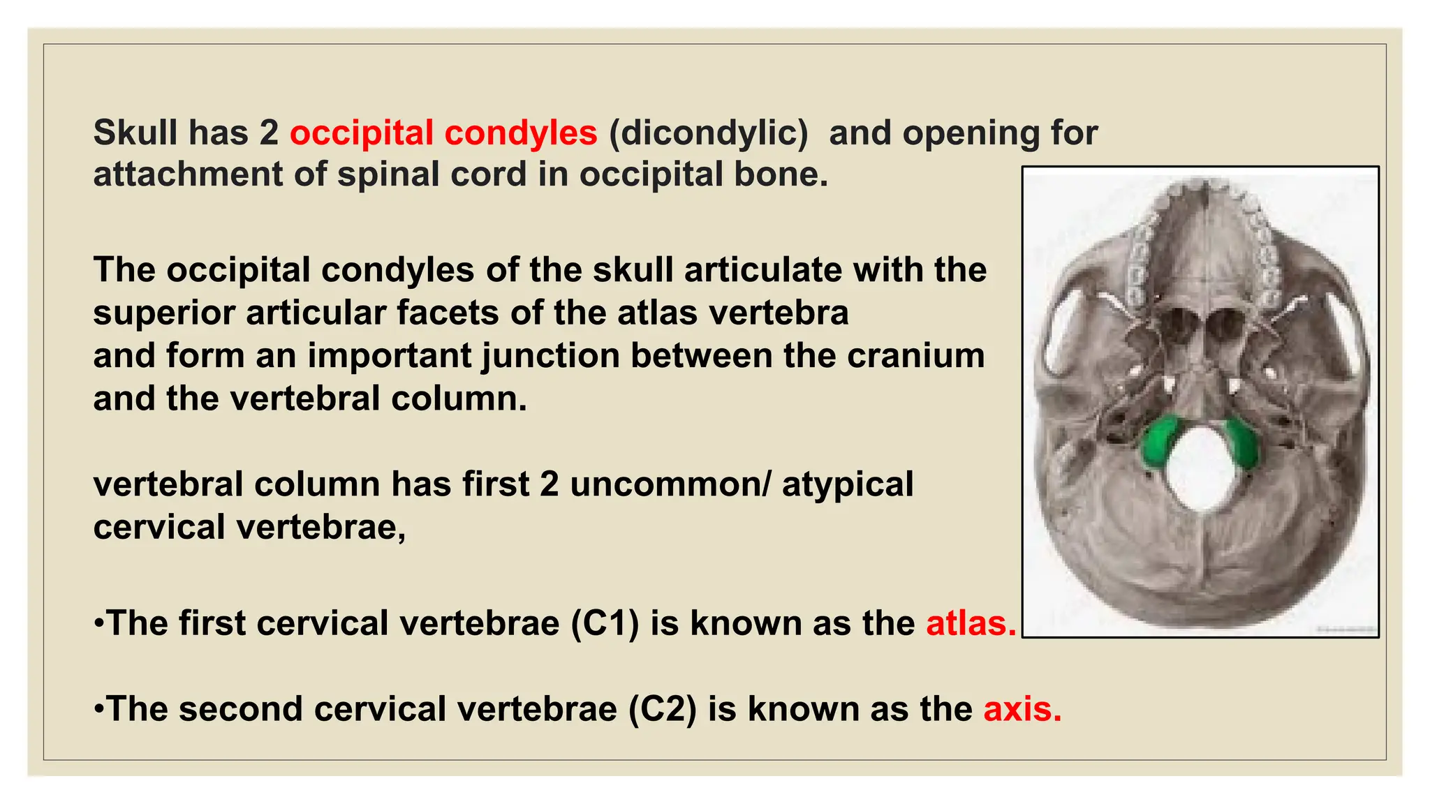 skeletal system complete details with joints and its types | PDF