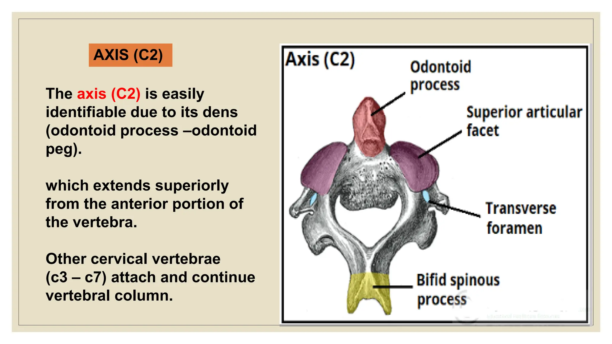 skeletal system complete details with joints and its types | PDF