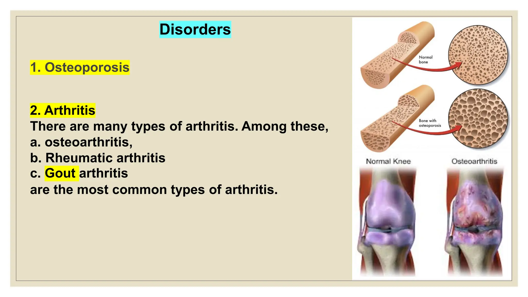skeletal system complete details with joints and its types | PDF