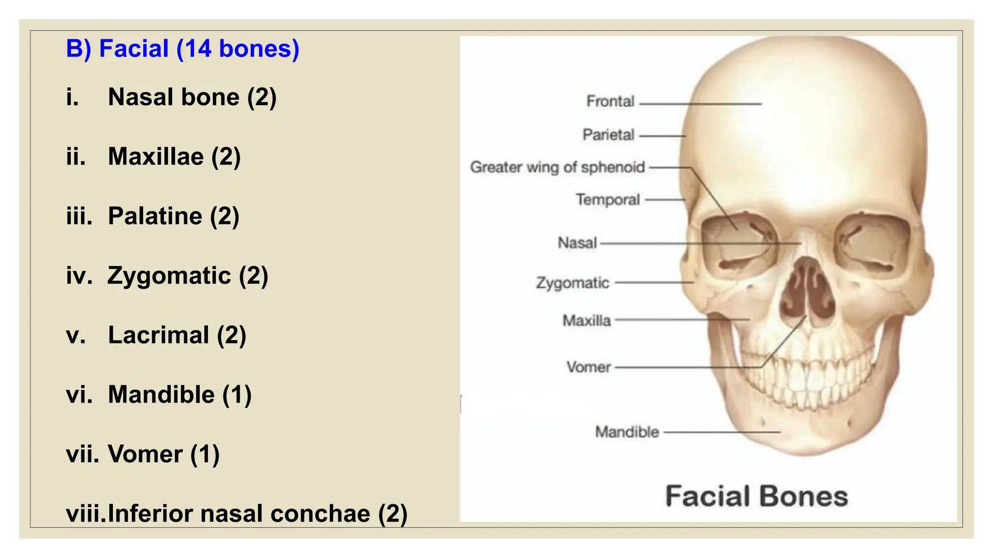 skeletal system complete details with joints and its types | PDF