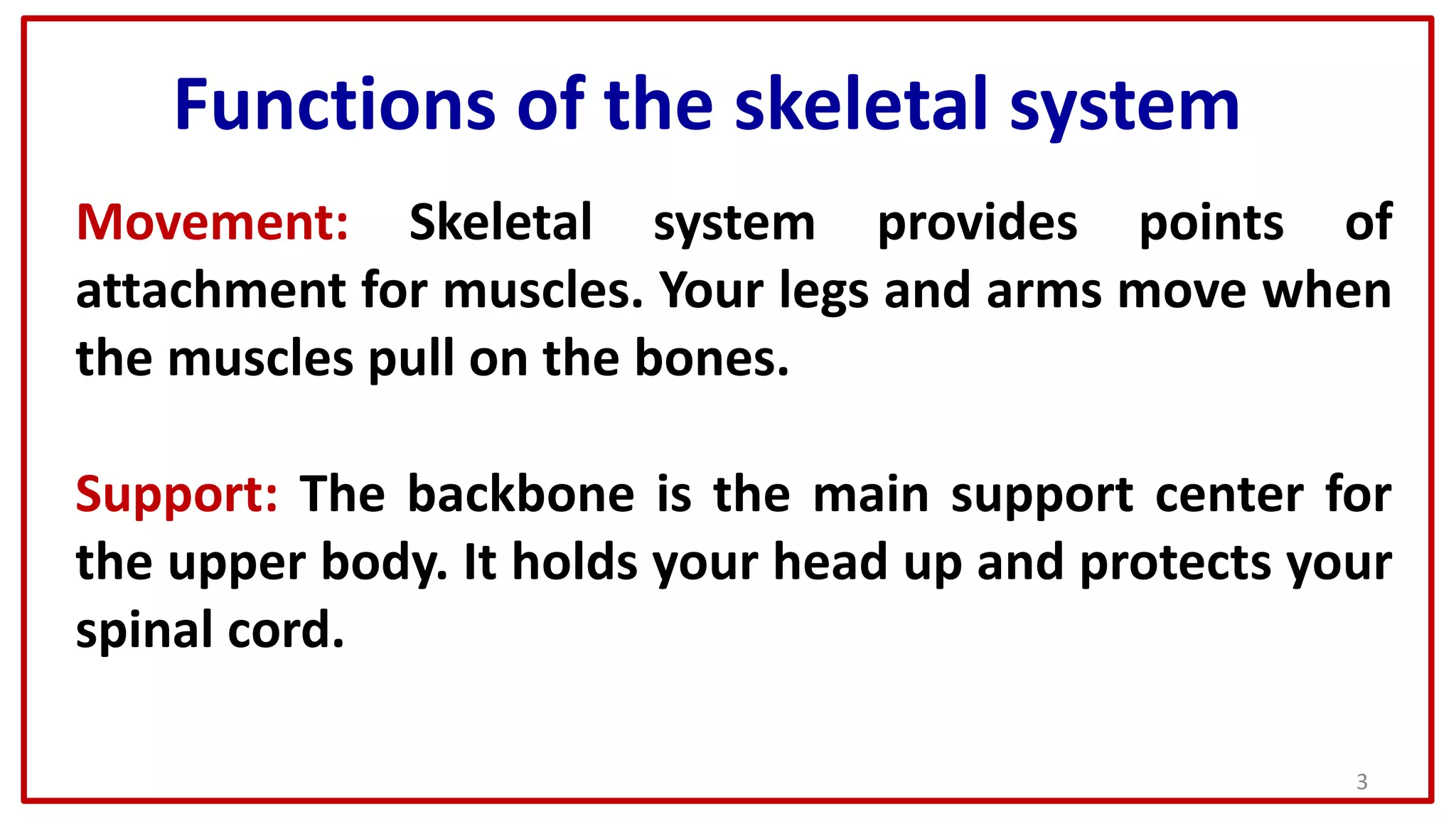 Skeletal System (2).pptx