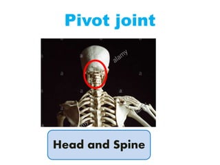 Skeletal system grade IV | PPTX