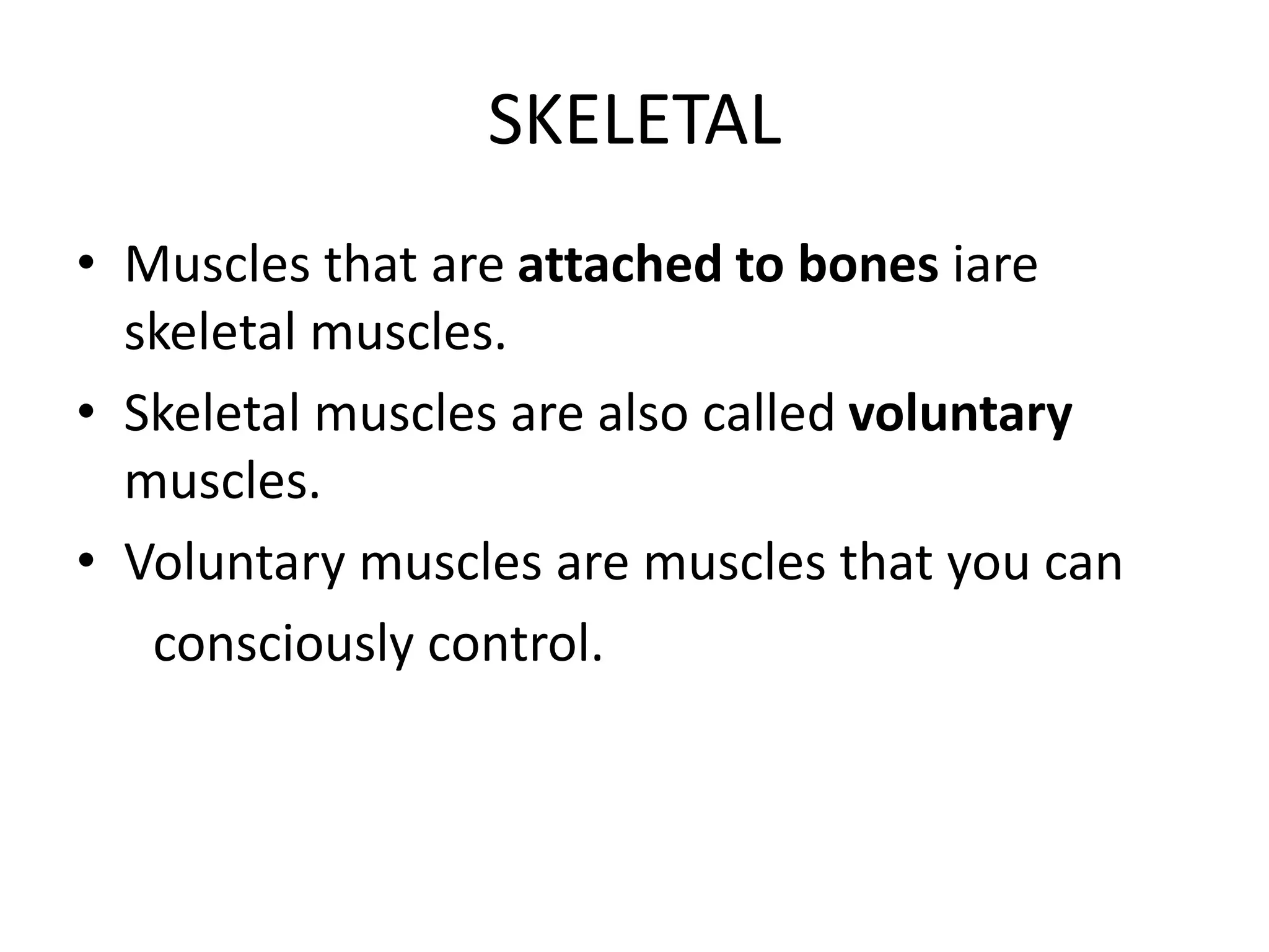 Skeletal system 6 | PPTX