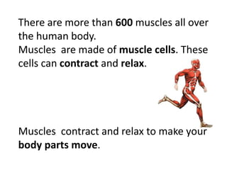 Skeletal system 6 | PPT