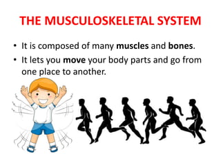 Skeletal system 6 | PPT