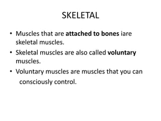 Skeletal system 6 | PPT