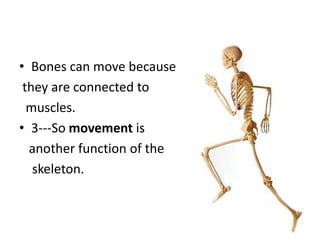 Skeletal system 6 | PPT