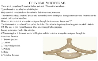 Skeletal system anatomy 2 salah nazar | PDF | Death, Injury, or ...