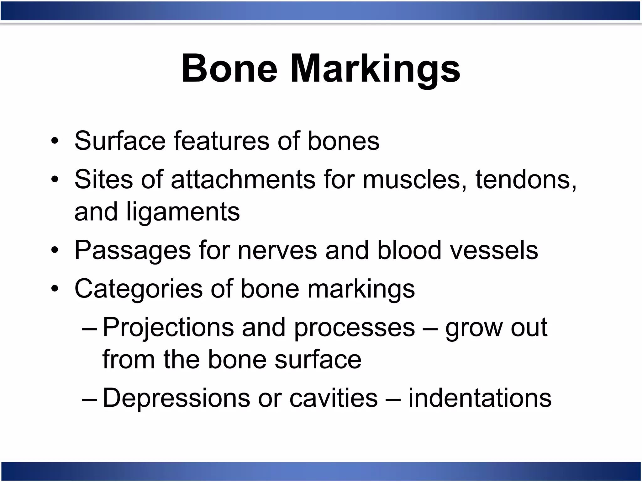 Skeletal System Anatomy and Physiology | PPTX