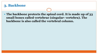 Skeletal system and nervous system 1 | PPTX