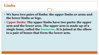 Skeletal system and nervous system 1 | PPTX