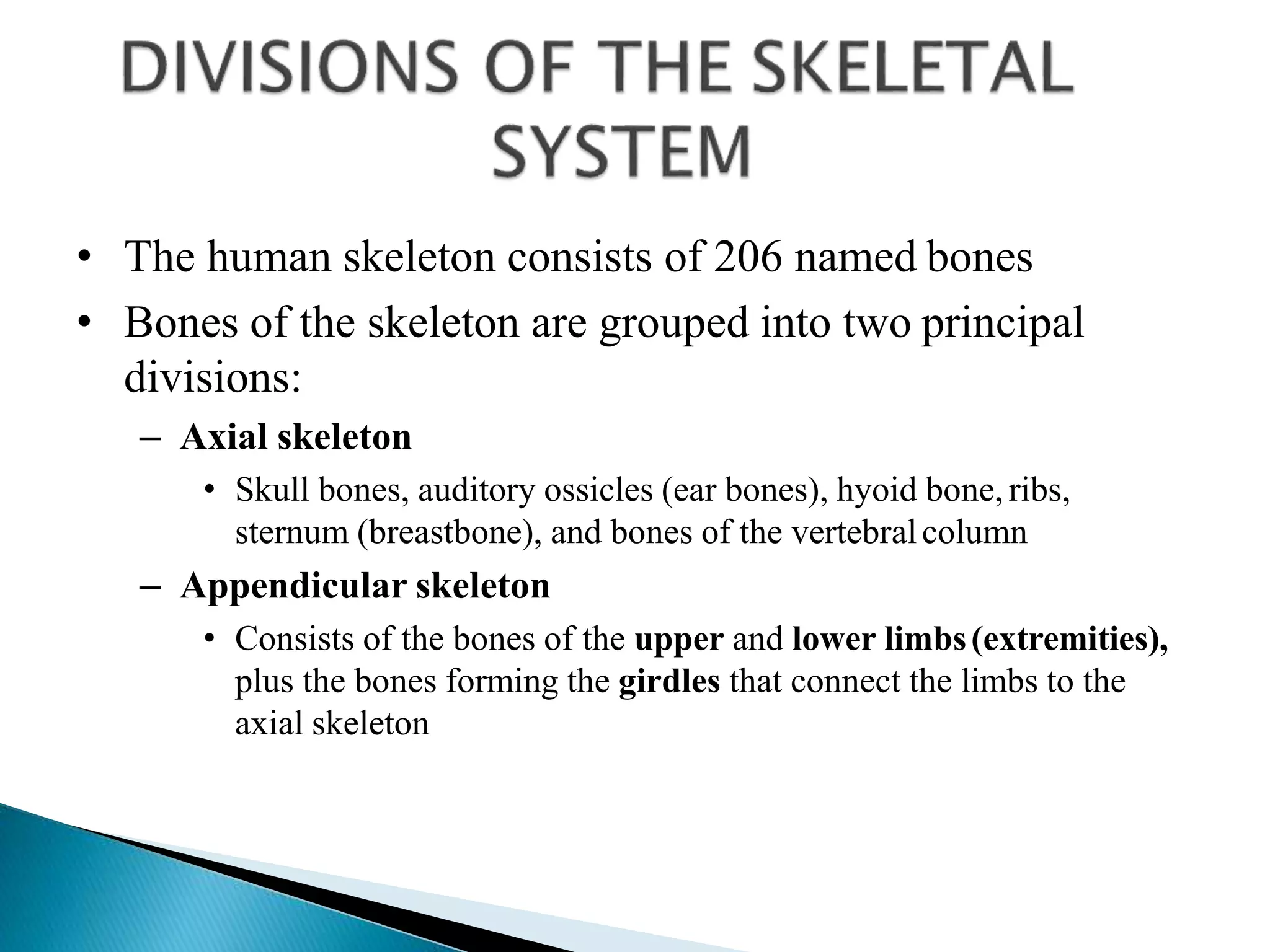 Skeletal system | PPTX