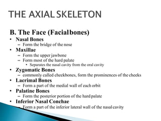 Skeletal system | PPTX