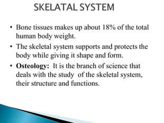 Skeletal system | PPT