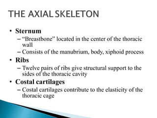 Skeletal system | PPT