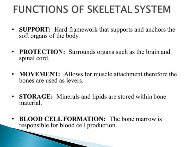 Skeletal system | PPT