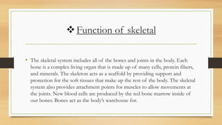 Skeletal system asil pair | PPTX | Death, Injury, or Military Conflict | Sensitive Topics
