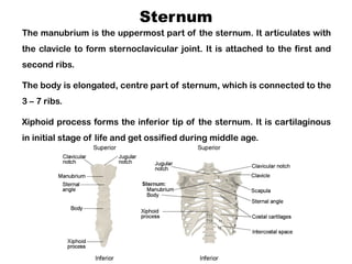 Unlocking the Secrets of the Skeletal System: Relevance for Nursing | PPTX