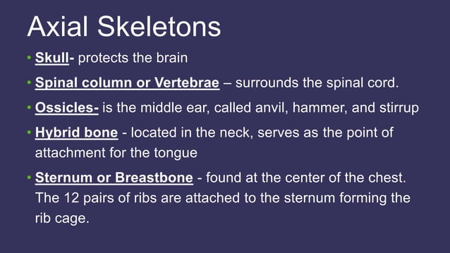 Skeletal System Axial.pptx