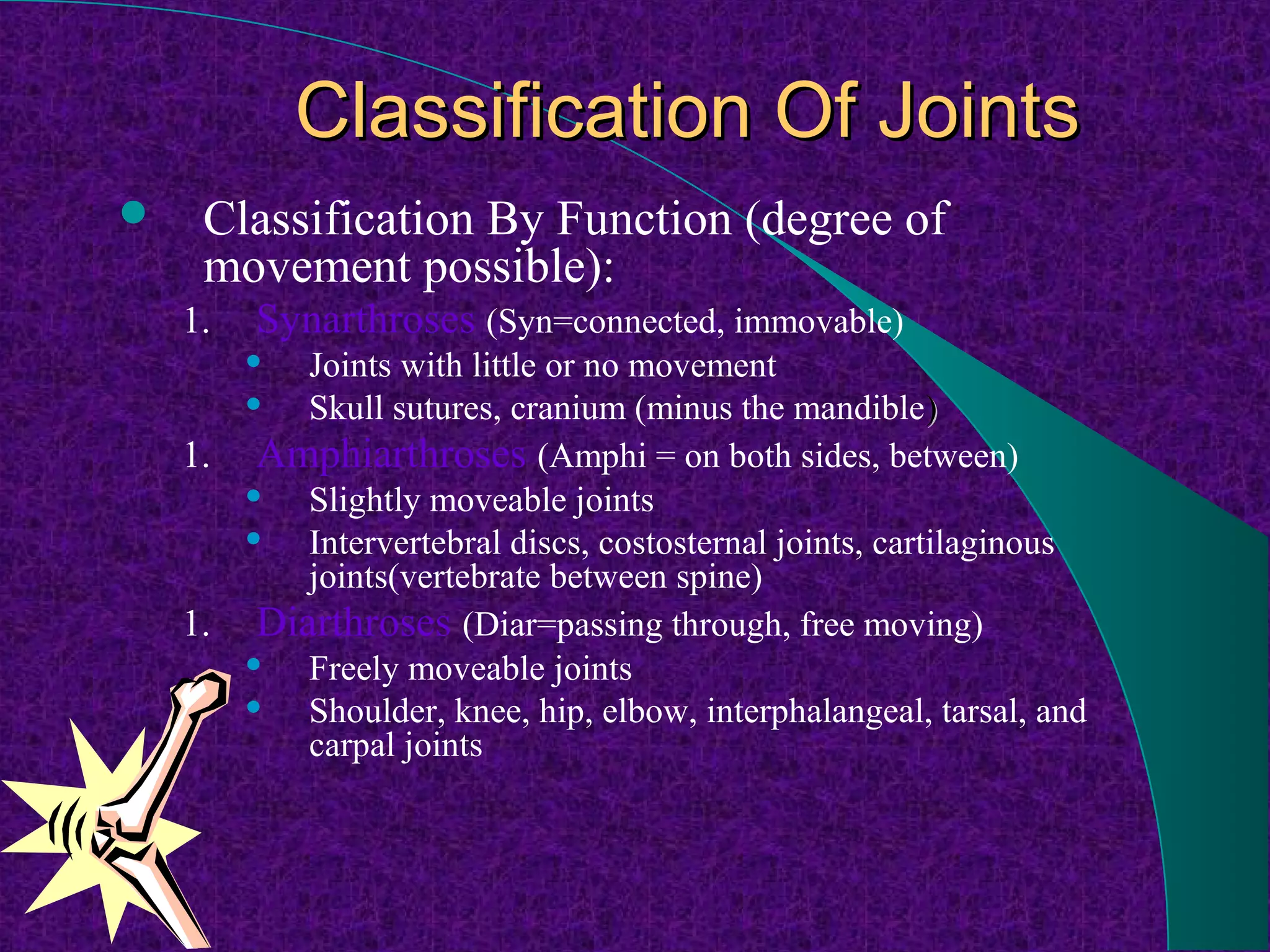 Skeletal system axil & appendicular skeleton powerpoint (chapter 6) | PPT