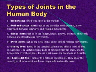 Skeletal system axil & appendicular skeleton powerpoint (chapter 6) | PPT