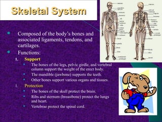 Skeletal system axil & appendicular skeleton powerpoint (chapter 6) | PPT