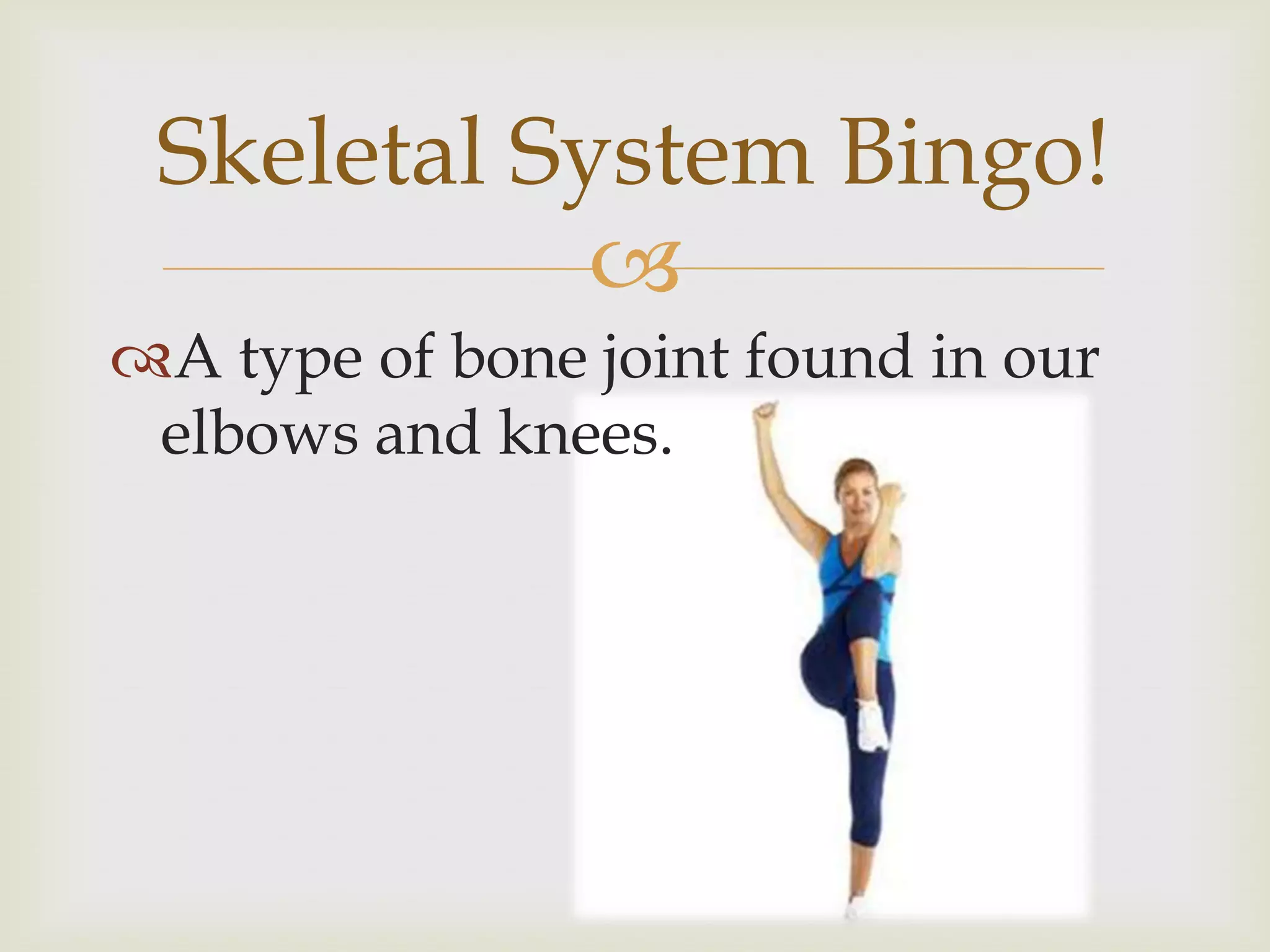 Skeletal system bingo! | PPTX