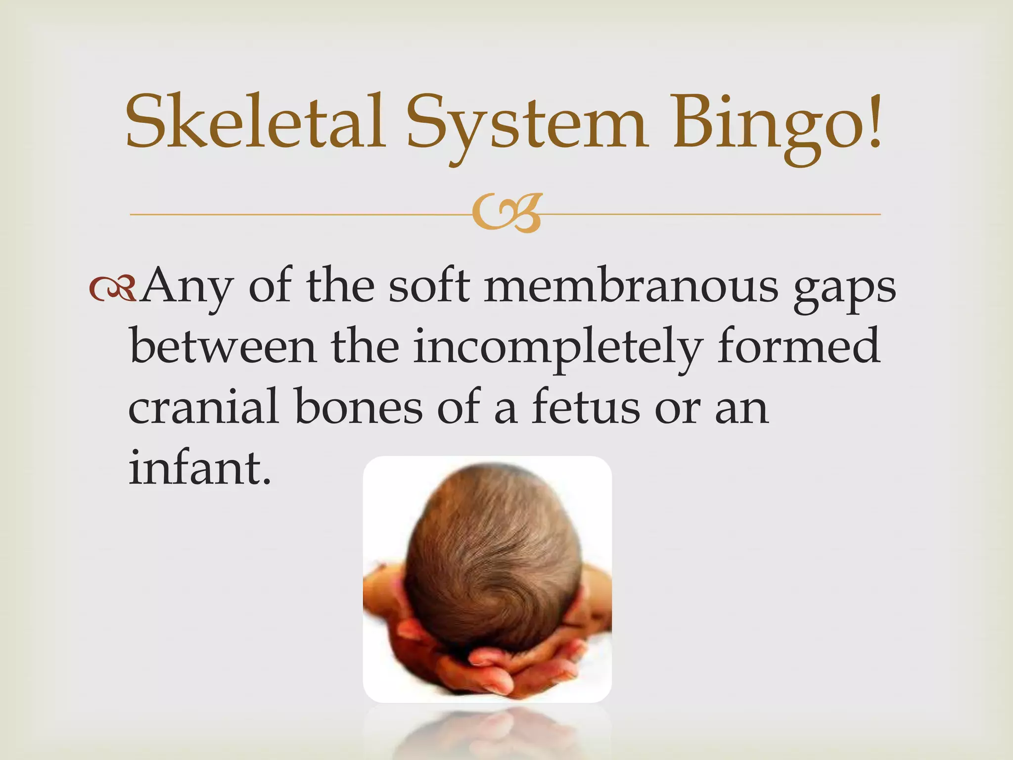Skeletal system bingo! | PPTX