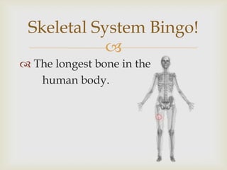 Skeletal system bingo! | PPTX