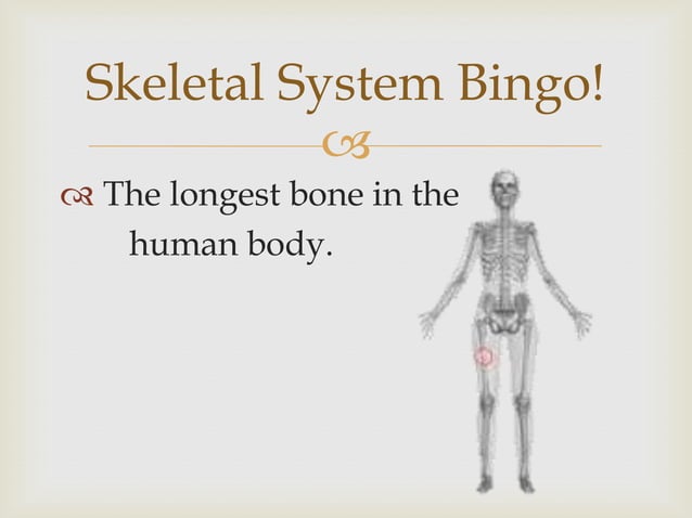 Skeletal system bingo! | PPTX | Death, Injury, or Military Conflict ...