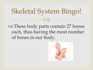 Skeletal system bingo! | PPTX