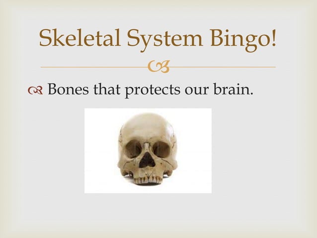 Skeletal system bingo! | PPTX | Death, Injury, or Military Conflict ...