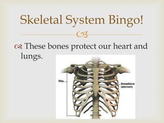 Skeletal system bingo! | PPTX