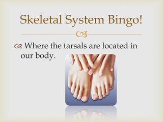 Skeletal system bingo! | PPTX